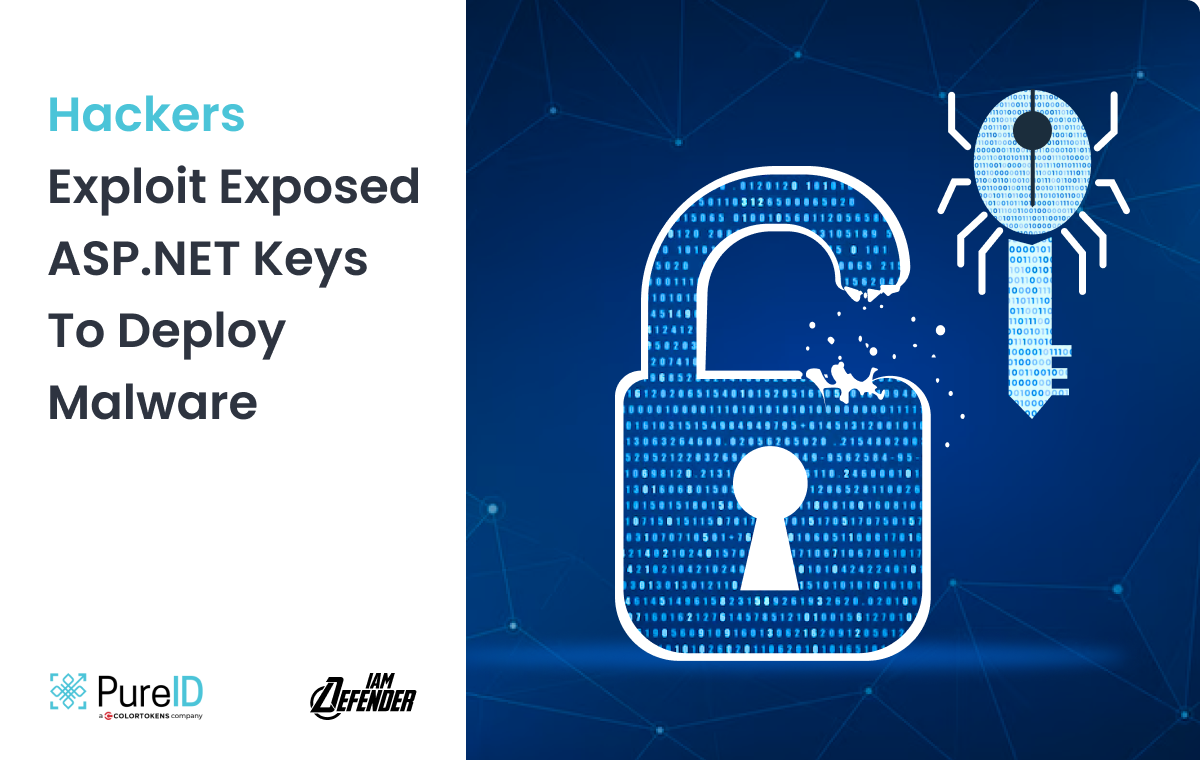 ASP.NET ViewState Injection Attack